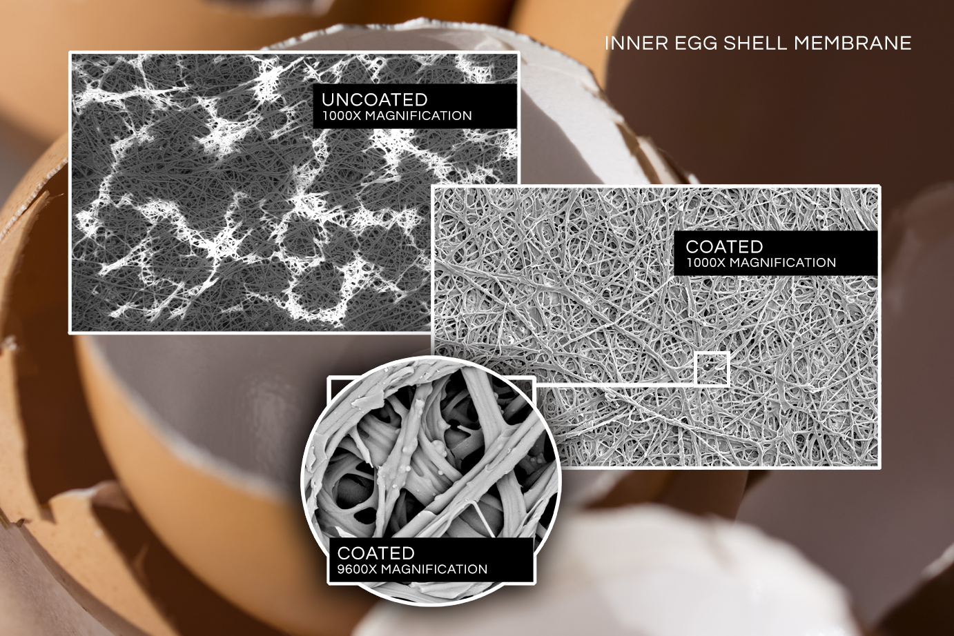 Sputter Coaters - Nanoscience Instruments - 金宝搏188